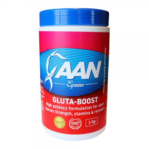 AAN GLUTA BOOST 1KG | Equestrian Affair
