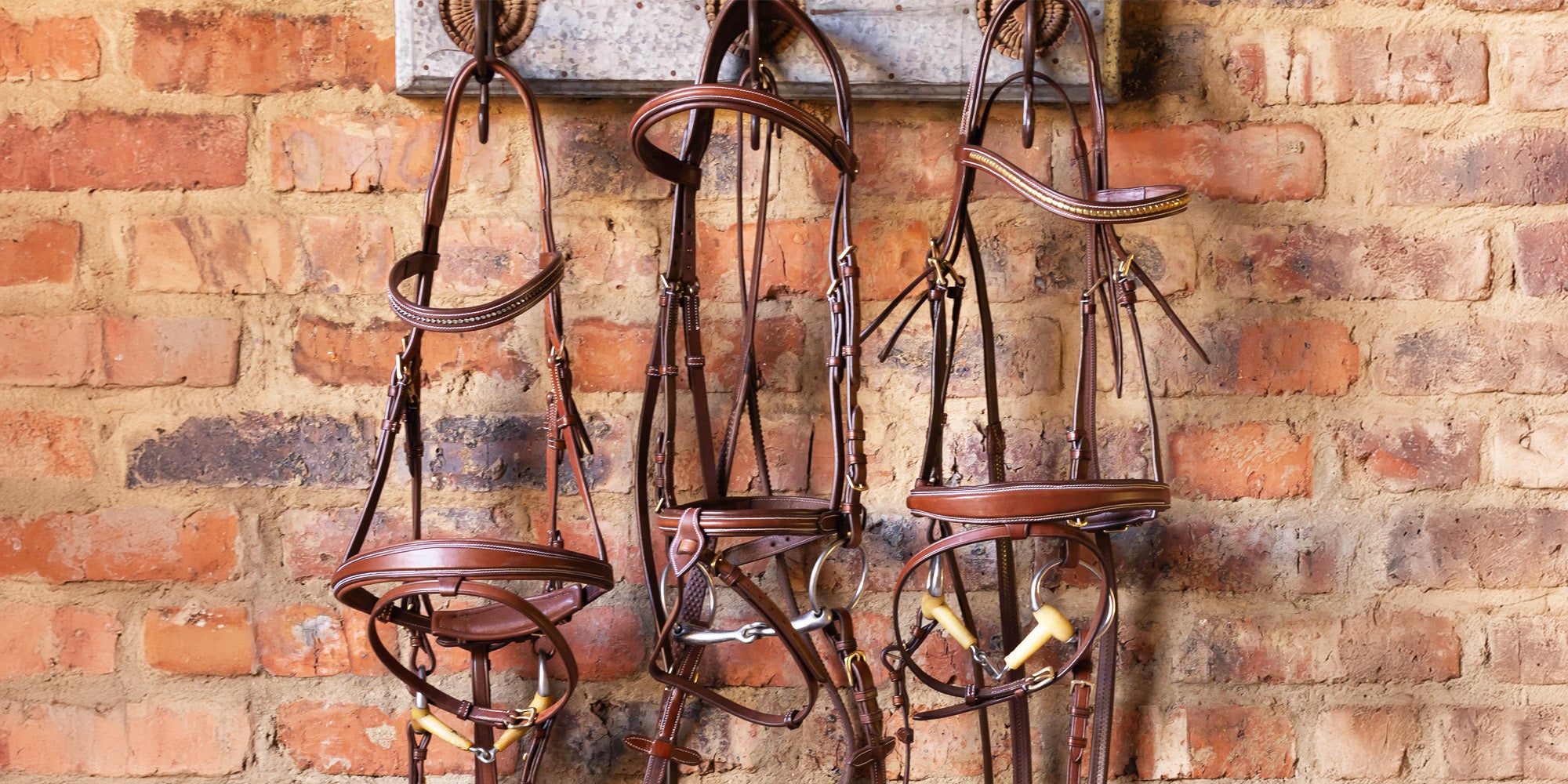 Equestrian Affair Online Store | Horse Tack Shop