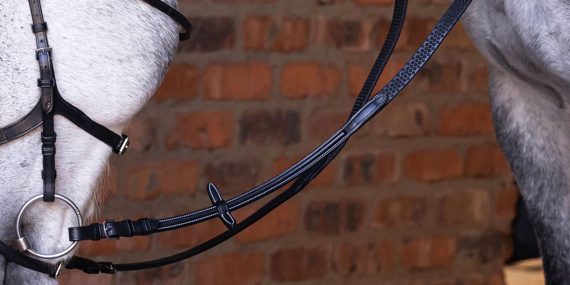 Equestrian Affair Online Store | Horse Tack Shop