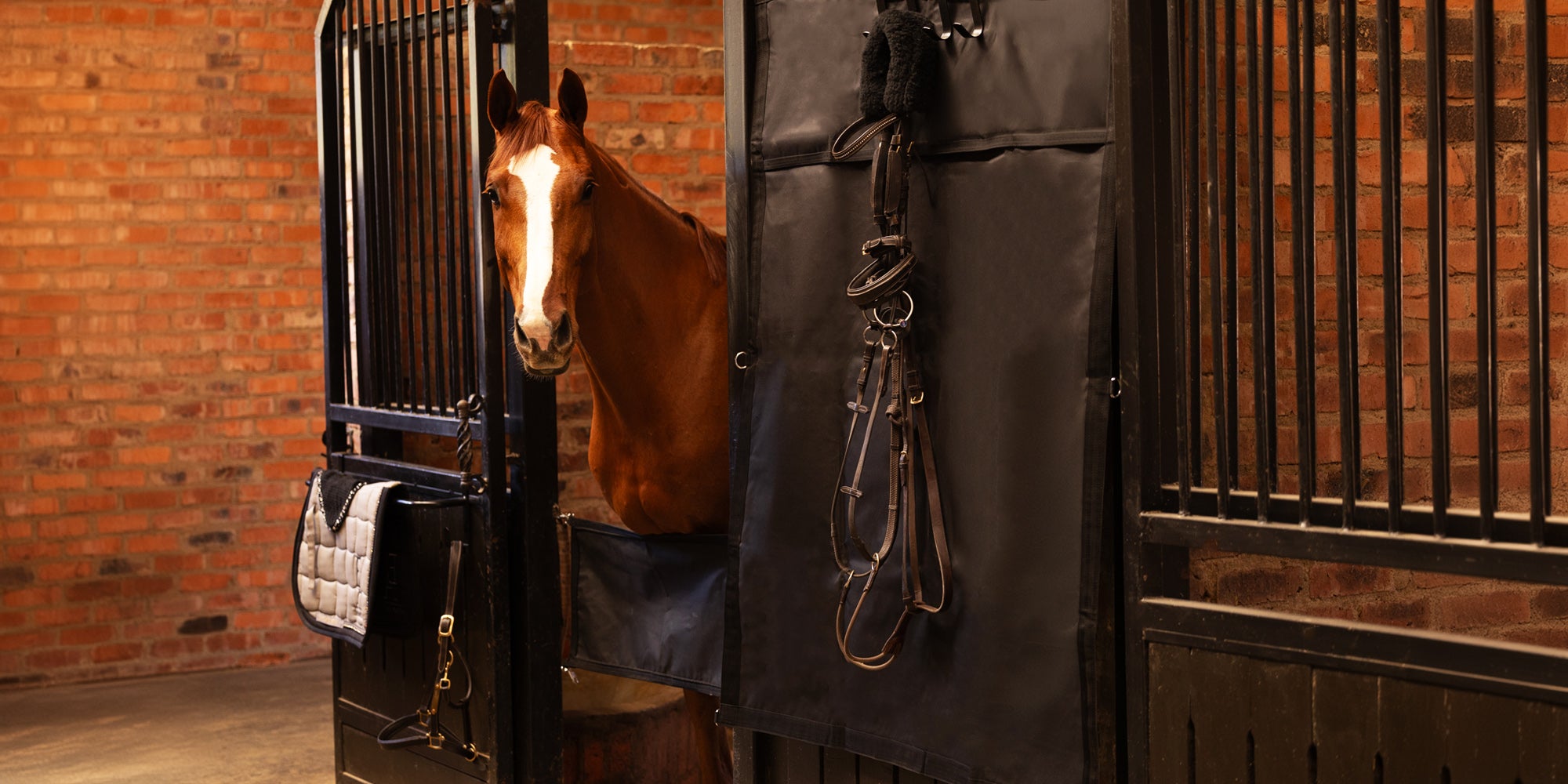 Equestrian Affair Online Store | Horse Tack Shop